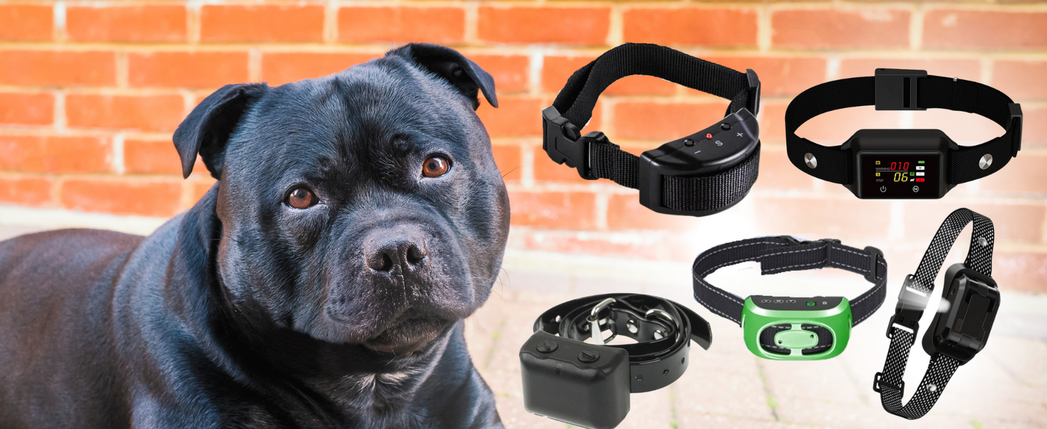 Our Pets Perfect Paws Australia