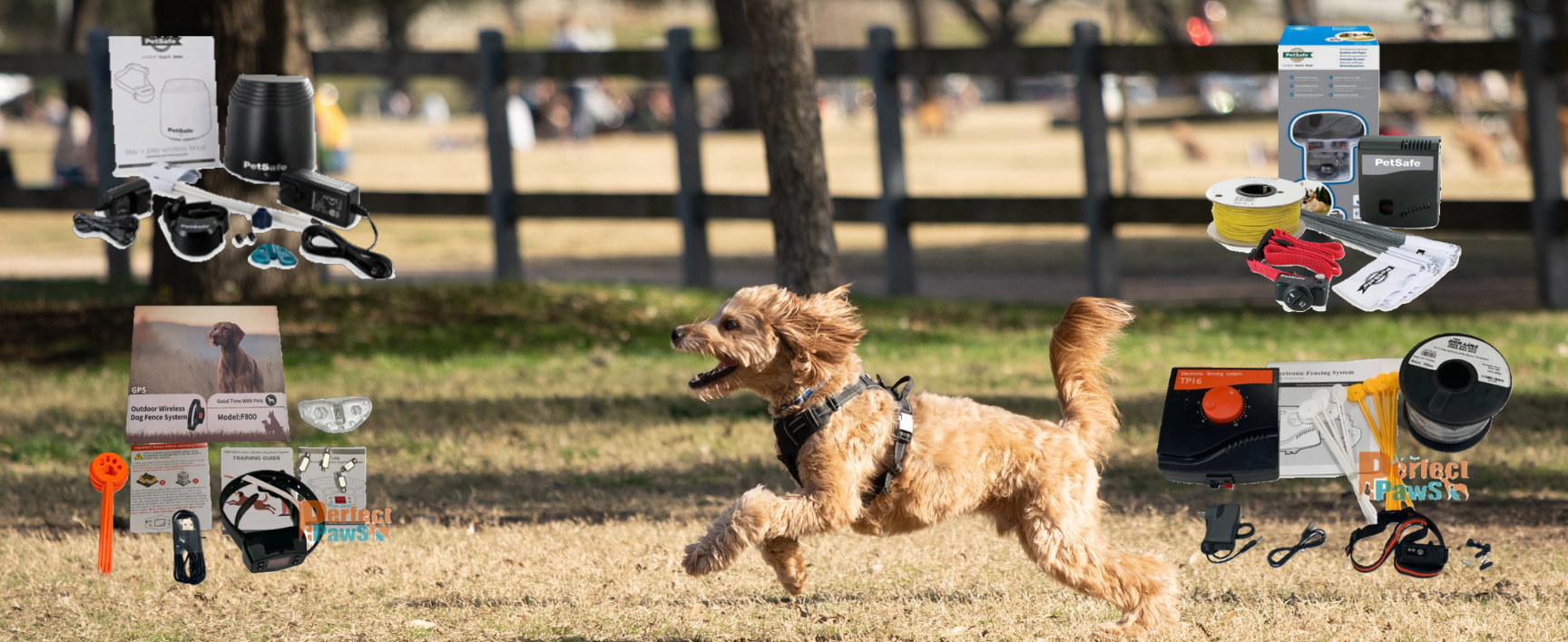 Our Pets Perfect Paws Australia