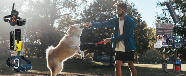 Our Pets Perfect Paws Australia