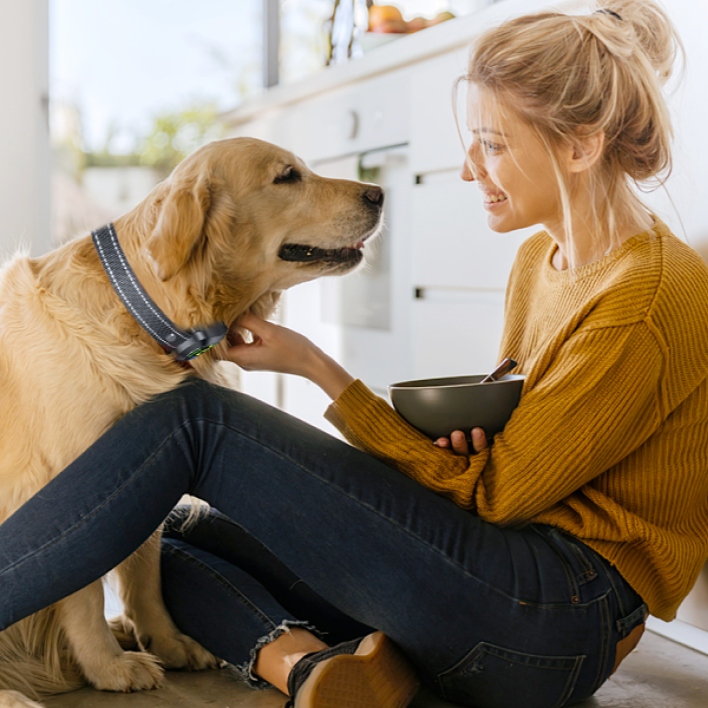 Our Pets Perfect Paws Australia